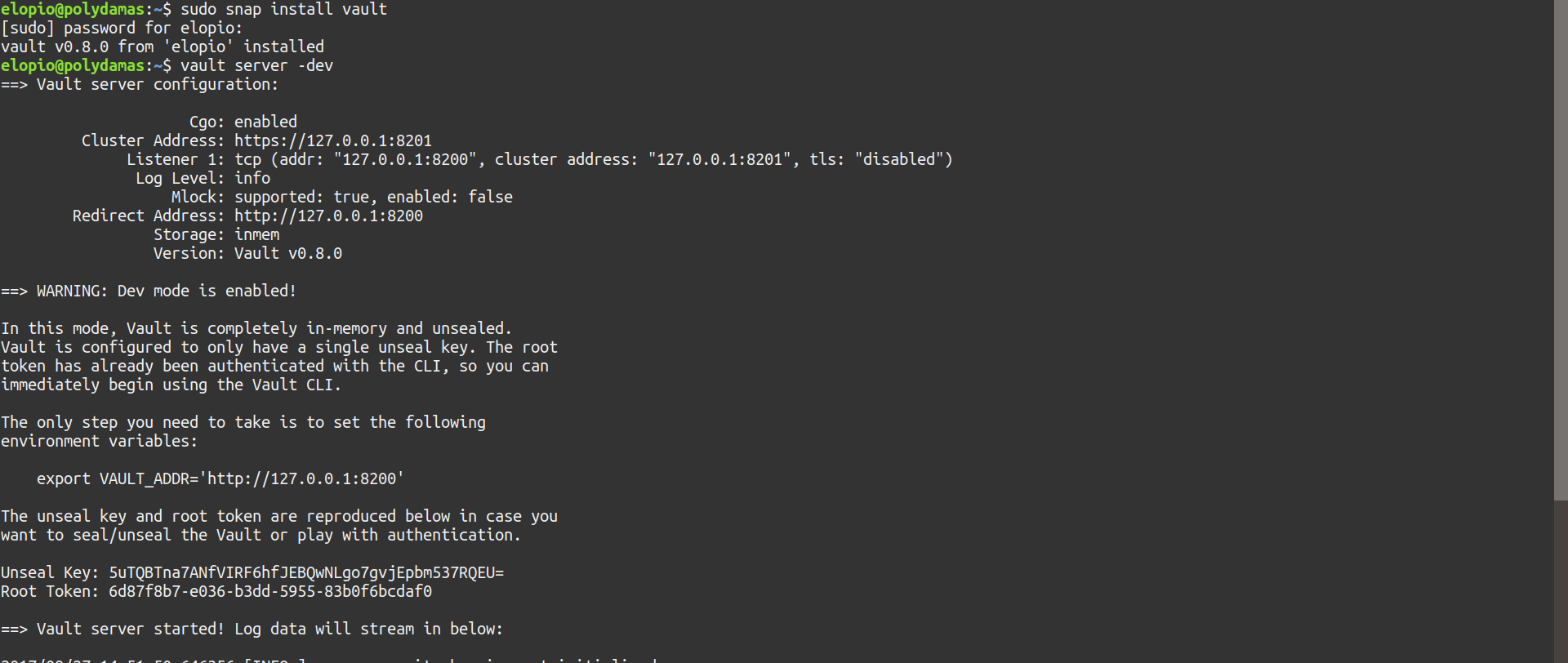 Install vault on Ubuntu using the Snap Store | Snapcraft