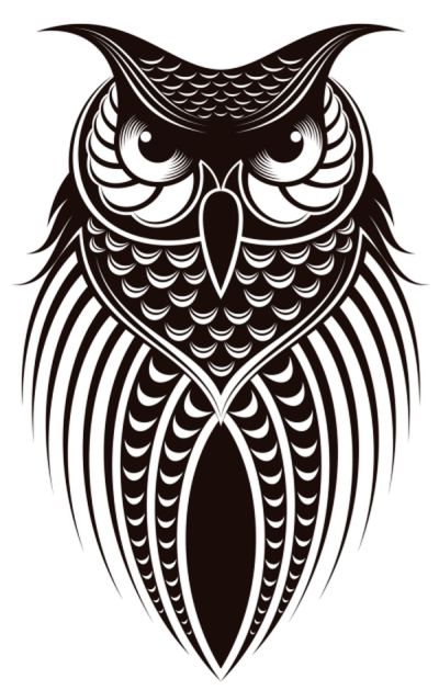 Install hello-noise2 on Pop!_OS using the Snap Store | Snapcraft