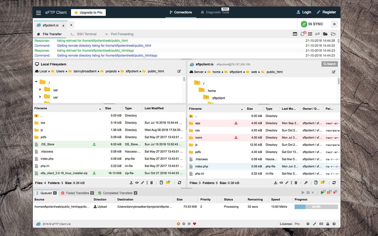 Install SFTP Client On Linux Snap Store