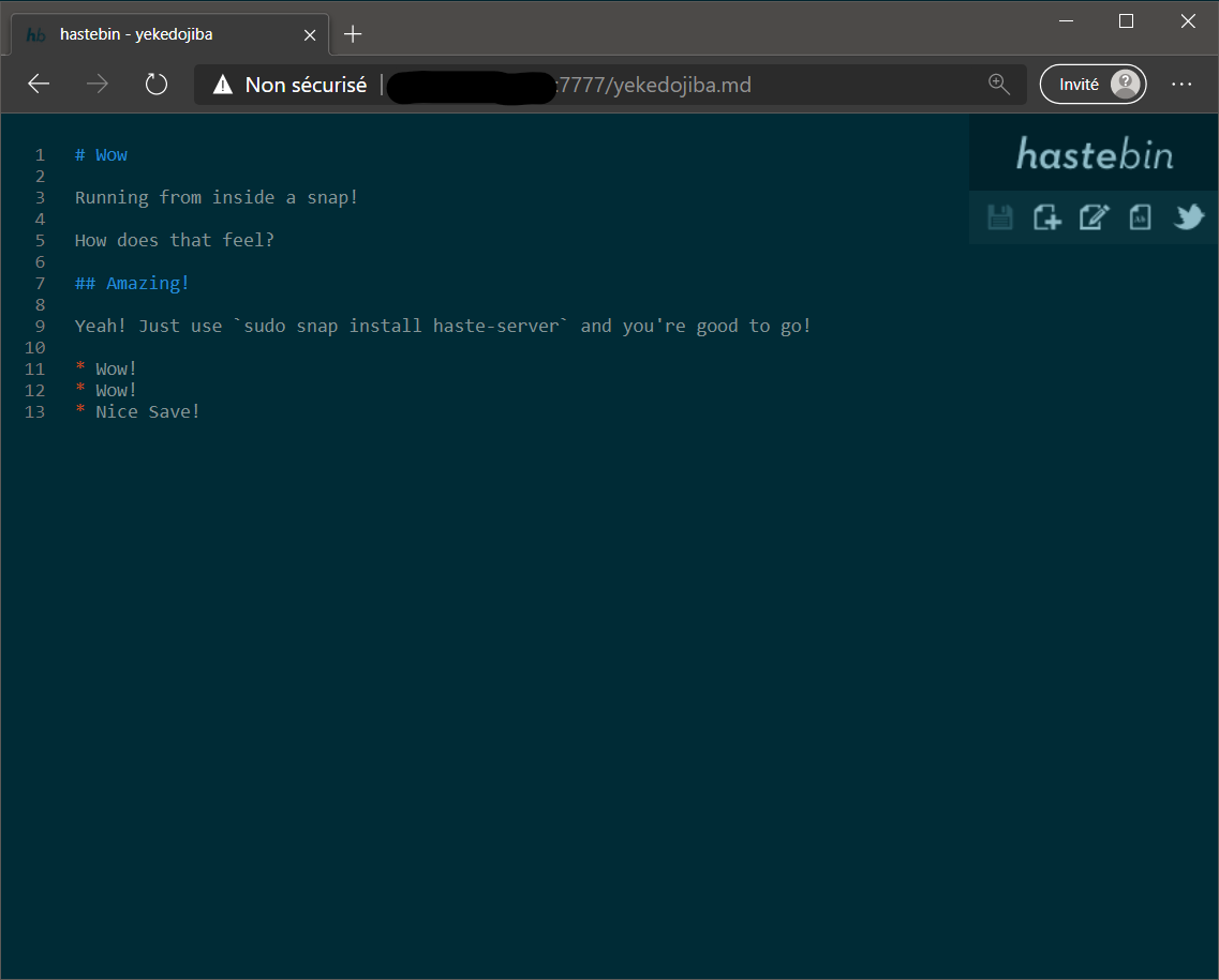 Install Haste Server on Linux | Snap Store Install Haste Server on Linux | Snap Store
