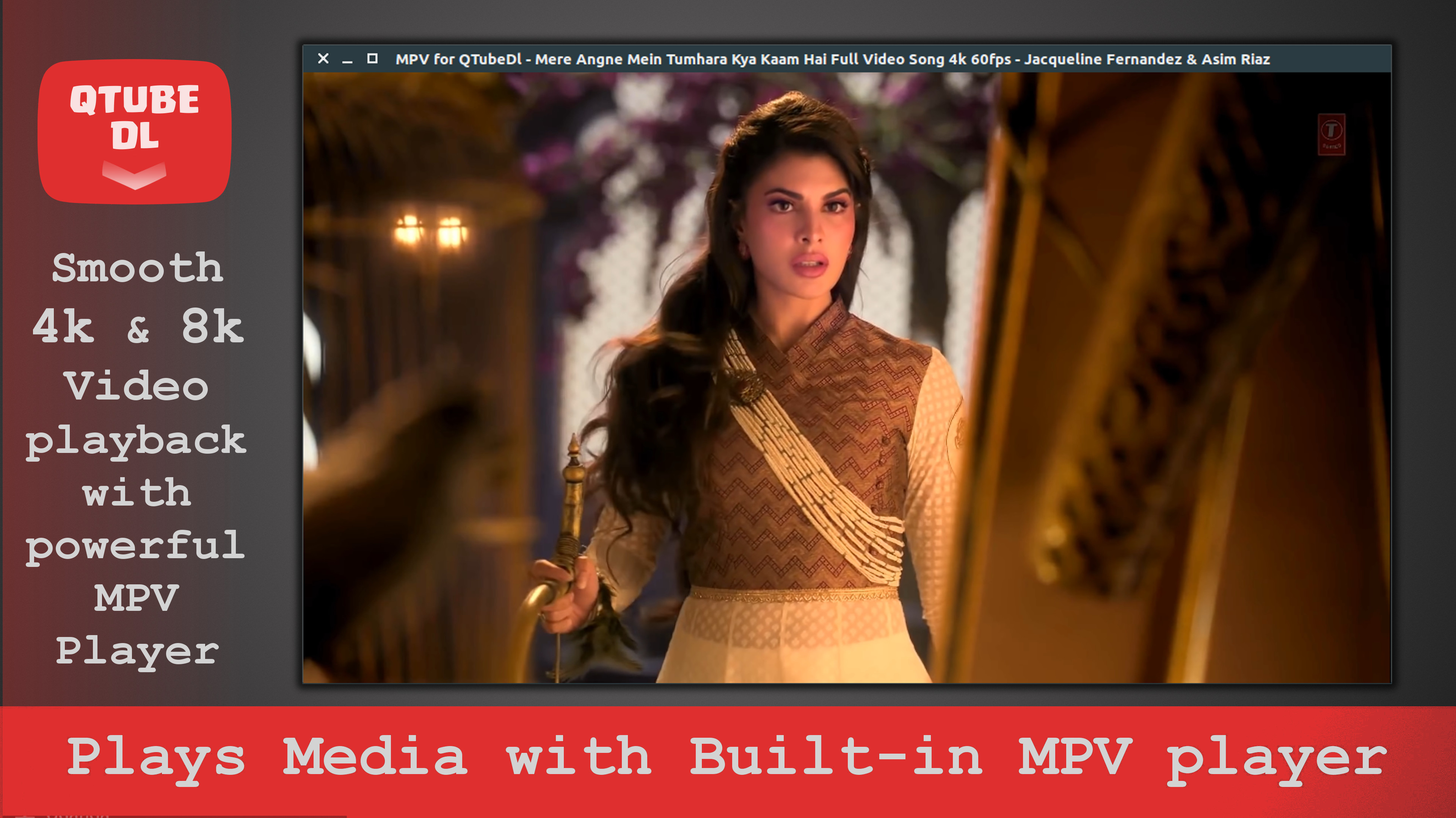 Install Qtube-Dl - Youtube player & downloader on Linux | Snap Store