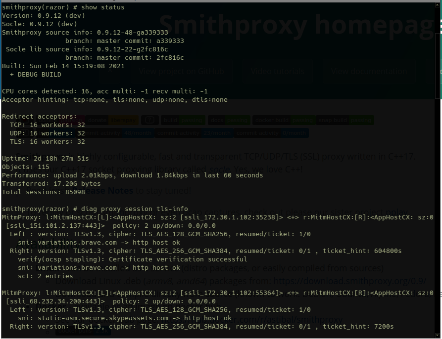 Install smithproxy on Linux | Snap Store