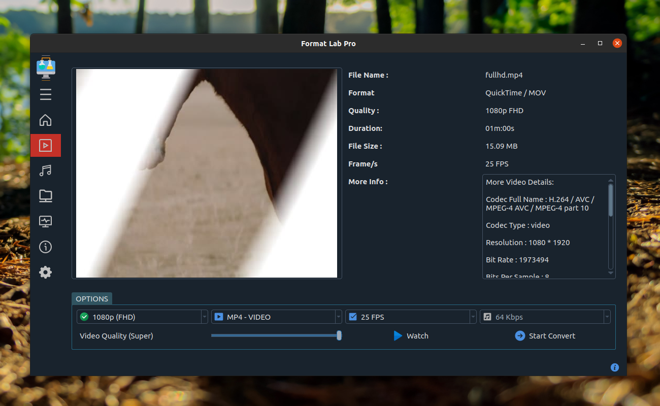 Install FormatLab on Linux | Snap Store