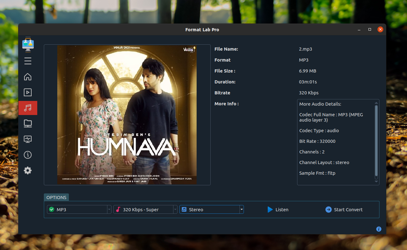 Install FormatLab on Linux | Snap Store