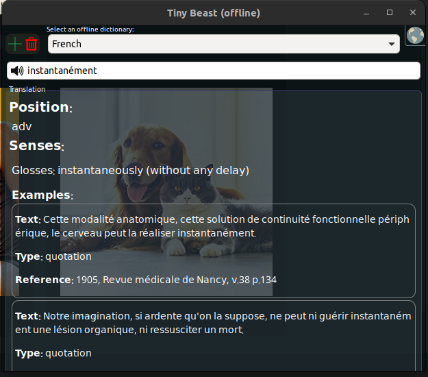 Install Tiny Beast Dictionary on Linux | Snap Store
