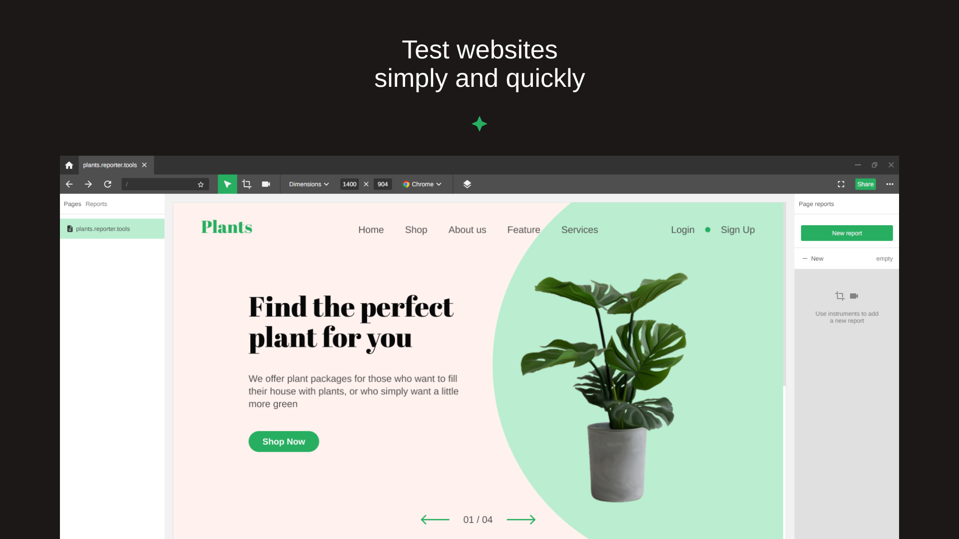 Install Reporter on Arch Linux using the Snap Store | Snapcraft