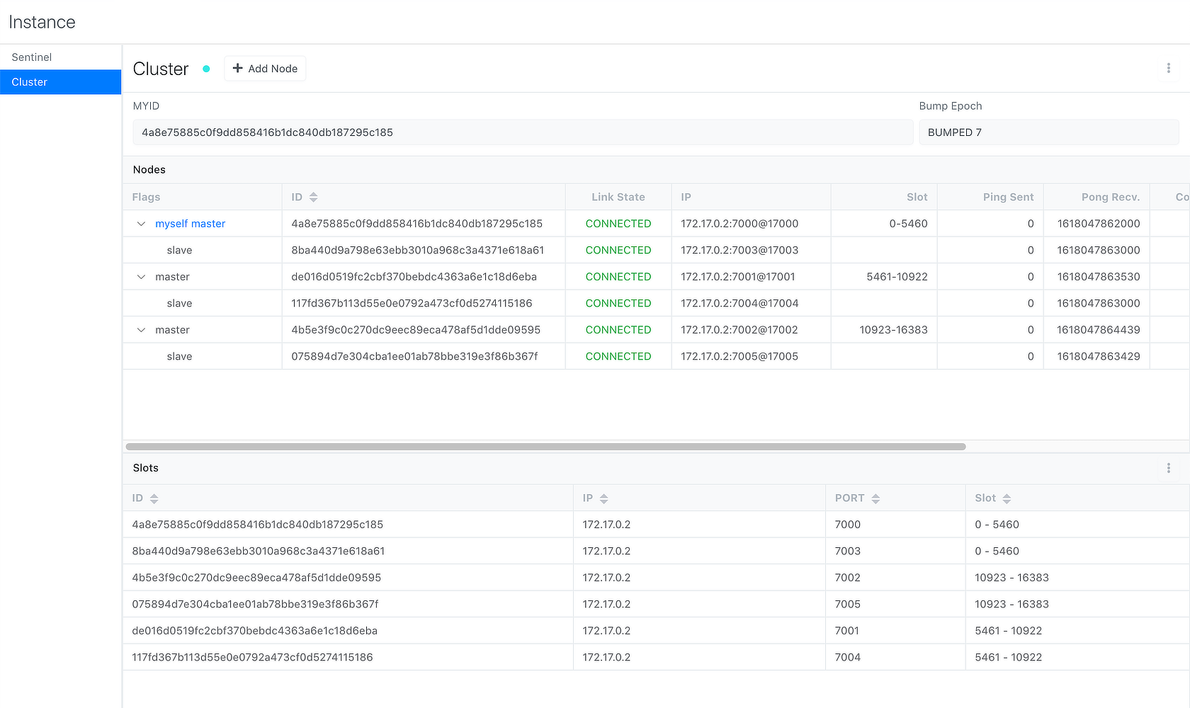 Install Racompass on Pop!_OS using the Snap Store | Snapcraft