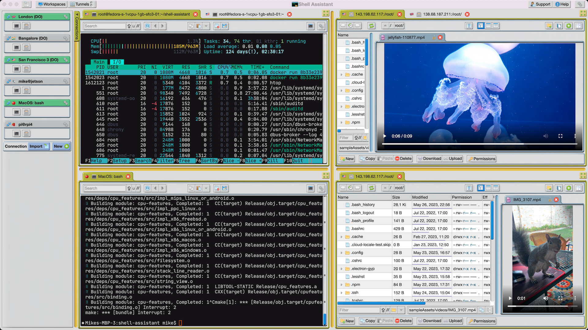 Install Shell Assistant on Linux | Snap Store