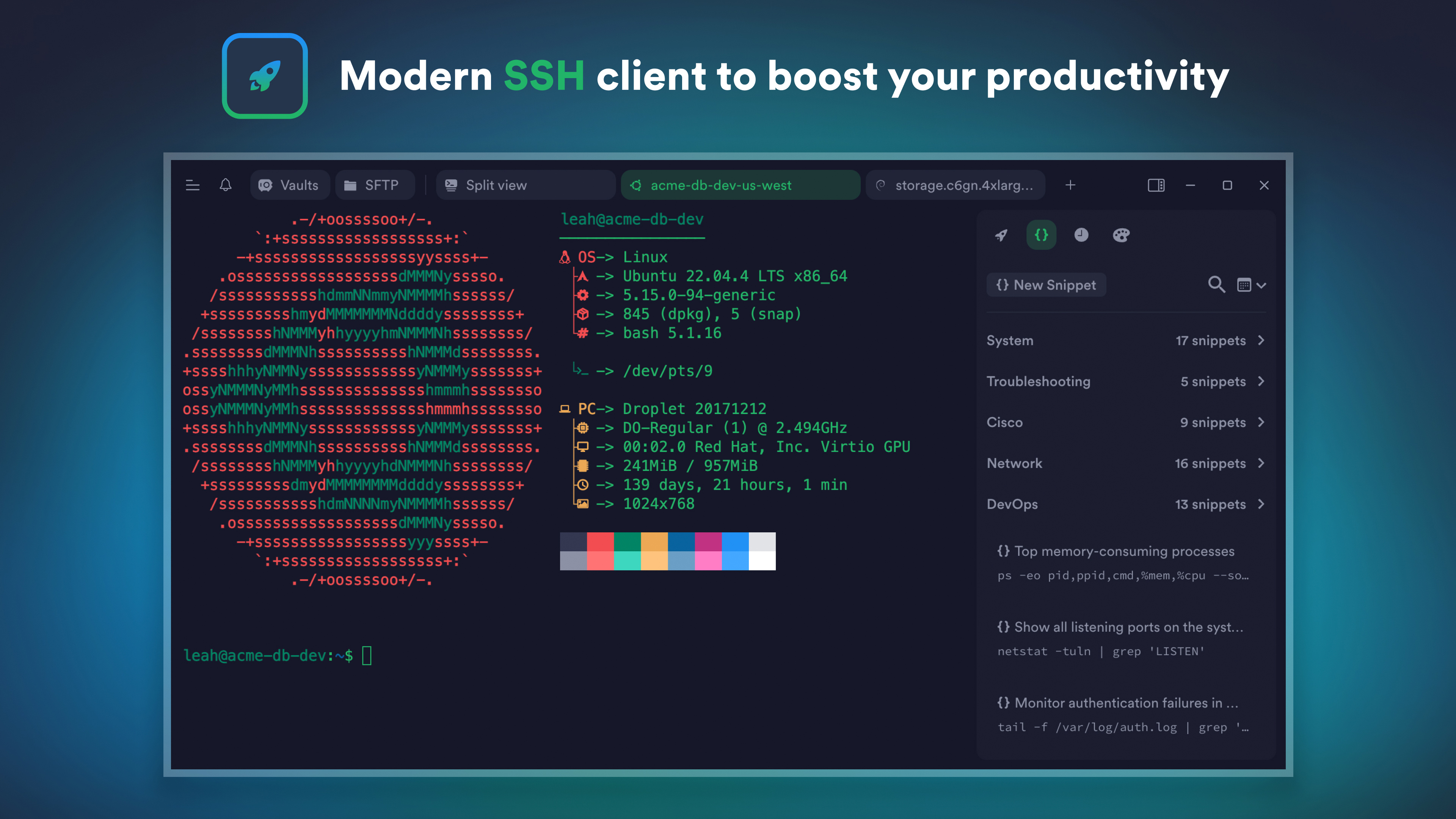 Install Termius - Modern SSH Client on Linux | Snap Store