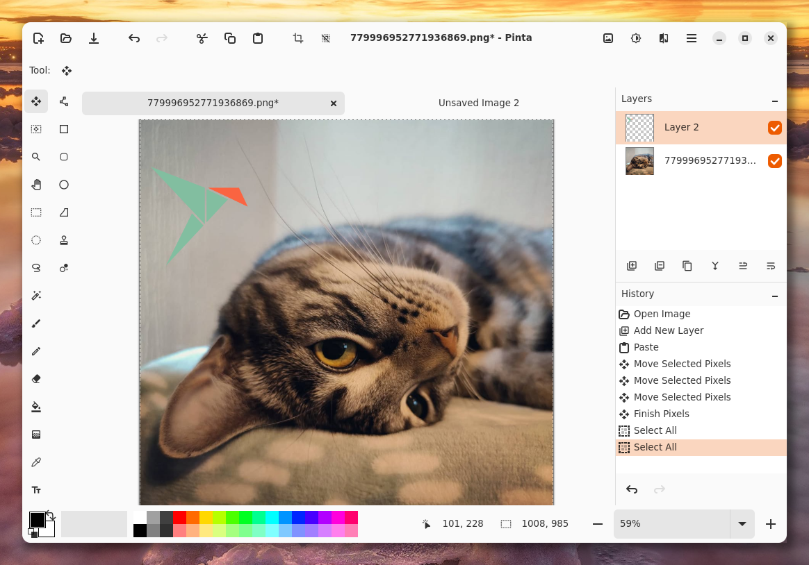 Install Pinta on Linux | Snap Store