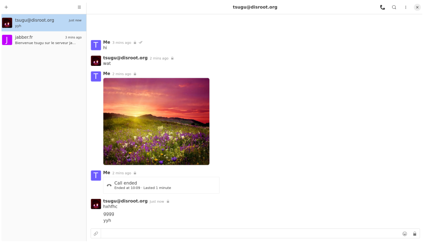 Install Dino (Unofficial) on Ubuntu using the Snap Store | Snapcraft